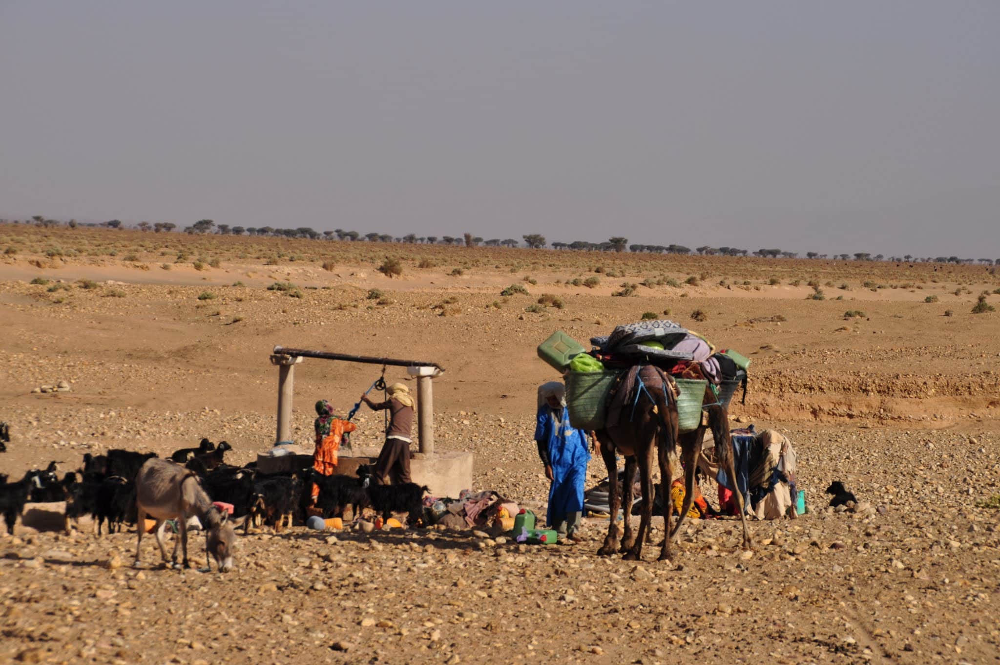 La vie des nomades - Desert Maroc